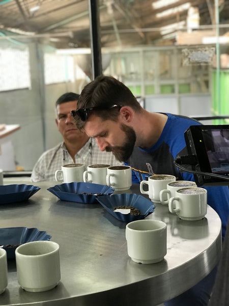 What exactly is Specialty Coffee and how is it graded? – Coffee Shift